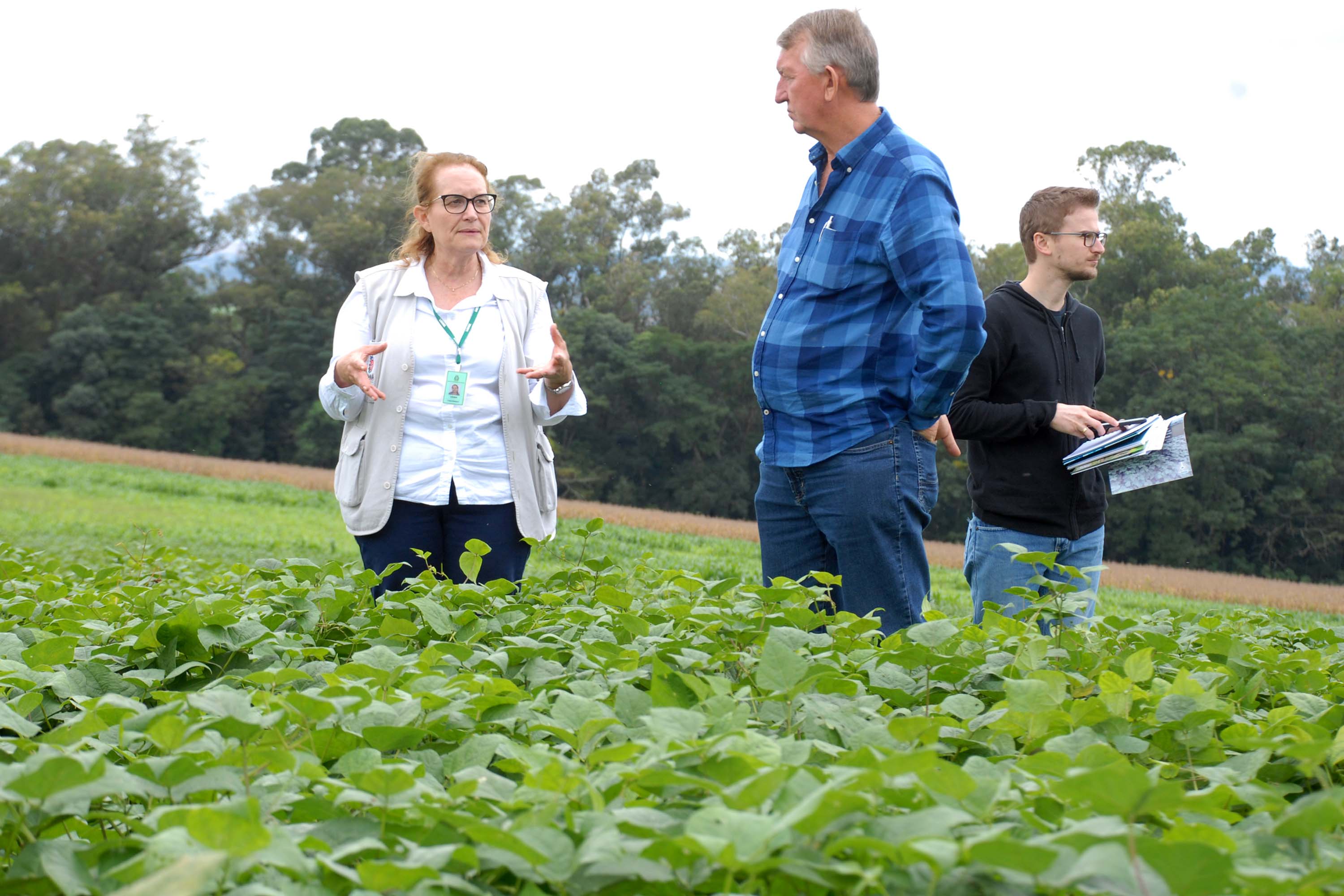 Pesquisadora do Iapar recebe prêmio nacional - CBN Londrina - A Radio ...