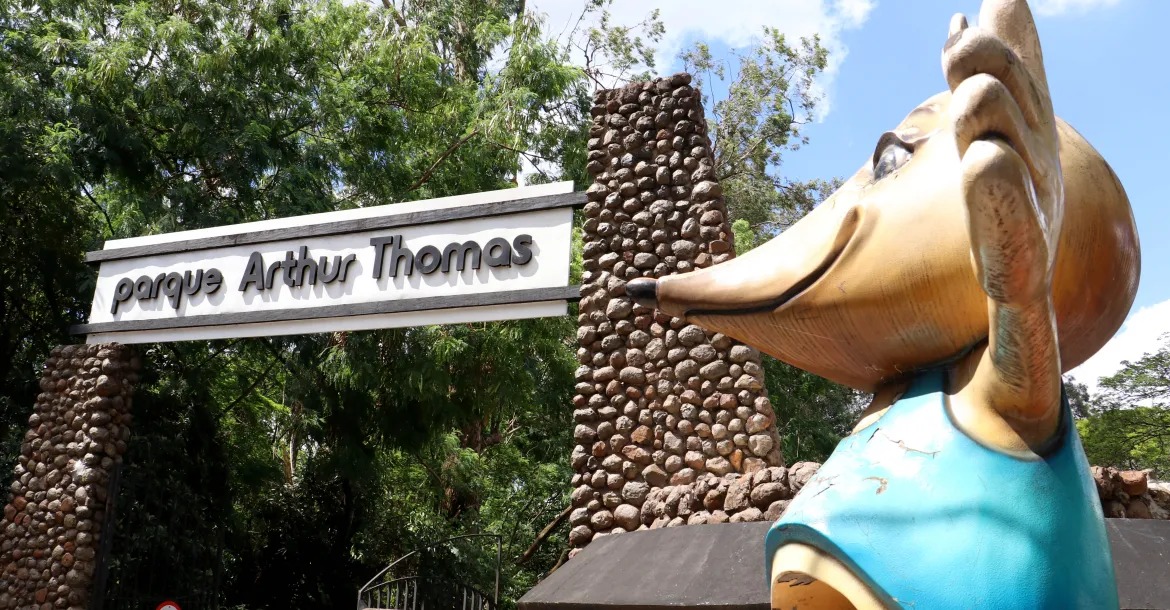 Sema orienta que população não alimente animais nos arredores do Parque ...